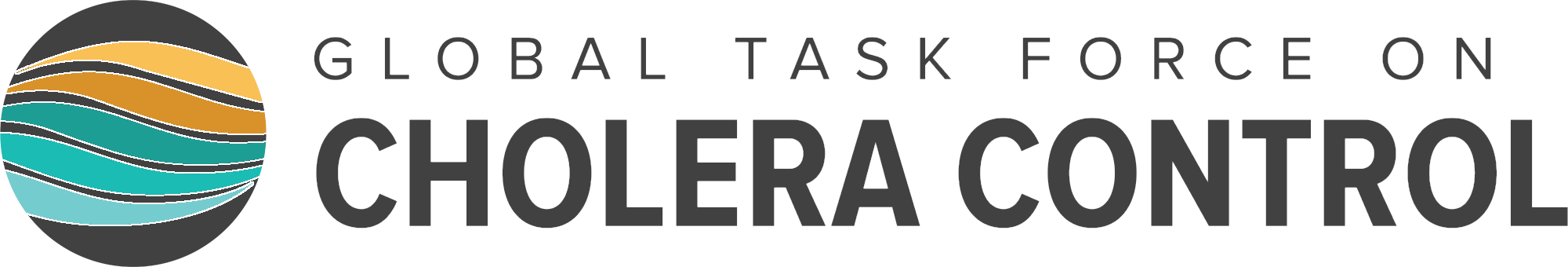 Develop An Investment Case For A Global Roadmap To Ending Cholera ...